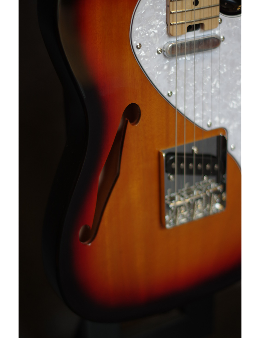 Aria® TEG-TL Guitarra Eléctrica Semi-Hollow Telecaster® Style 3T Sunb